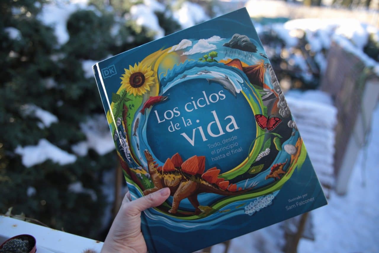 Libros y actividades para disfrutar la nieve - Educando en conexión