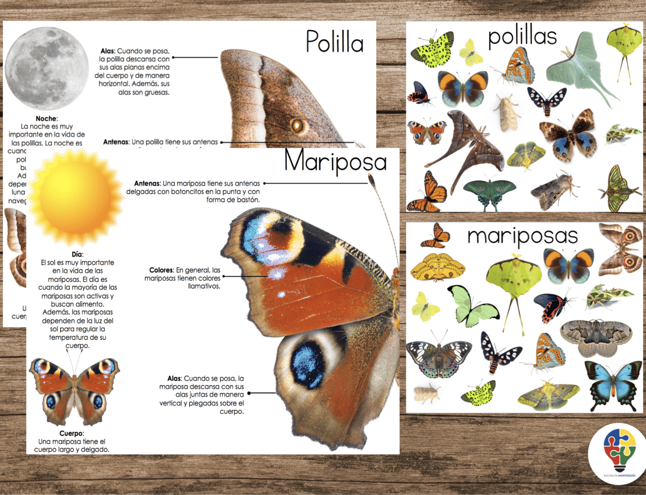 Bundle de imprimibles: Más de 300 imprimibles por solo 19 euros ...